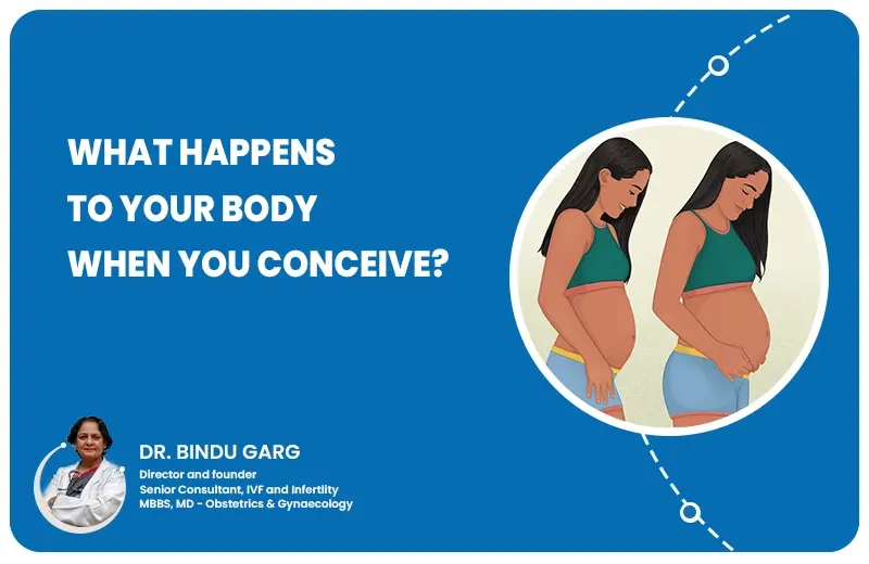 What Happens to Your Body When You Conceive – Early Pregnancy Explained